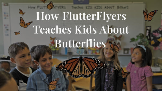 Educational Play with FlutterFlyers: Teaching Kids About Butterflies ...