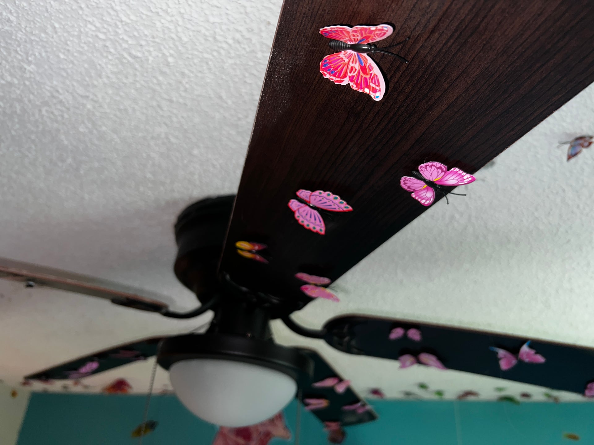 Flutter Stickers – Flutter Flyers