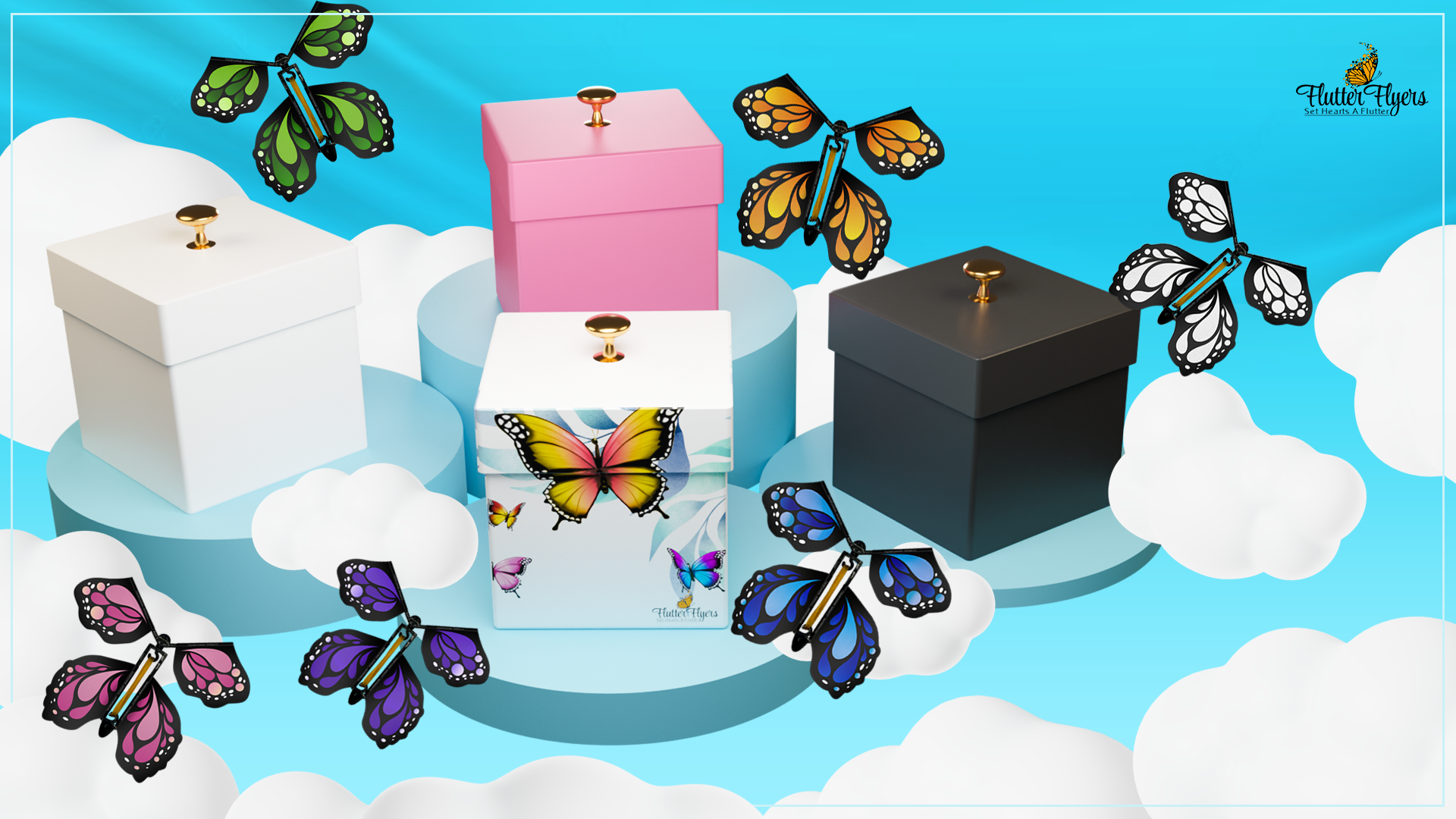 FlutterBox – Flutter Flyers